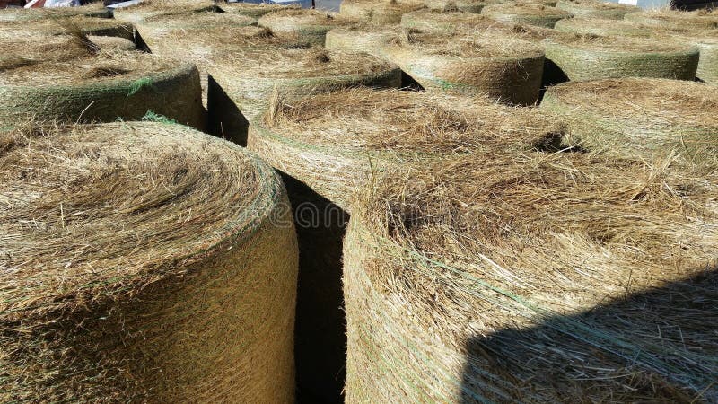 Hay Bales stock image. Image of carving, grass, straw - 273293981