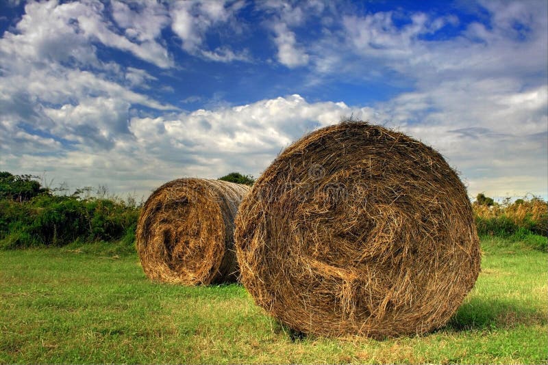 Hay Bales under a blue sky stock image. Image of summer - 18686819