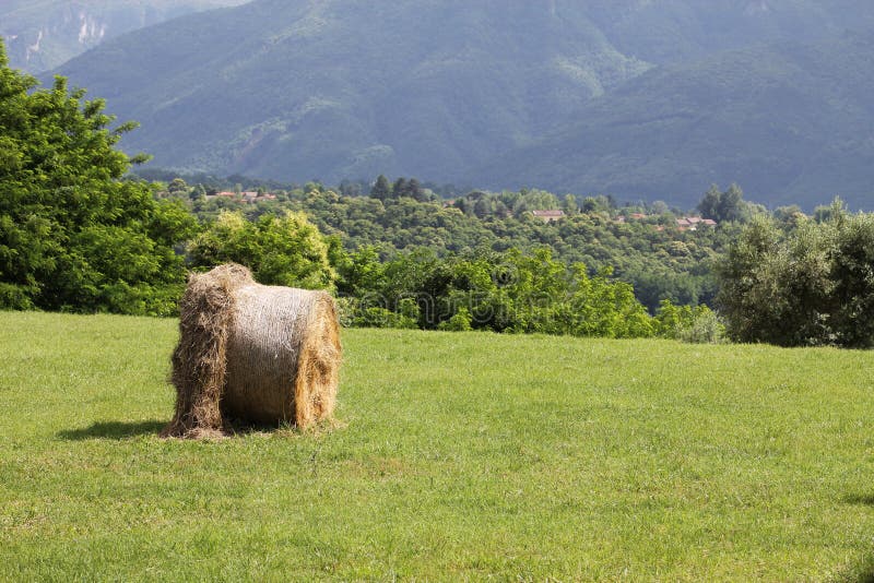Hay ball stock photo. Image of landscape, sunny, circle - 20227876