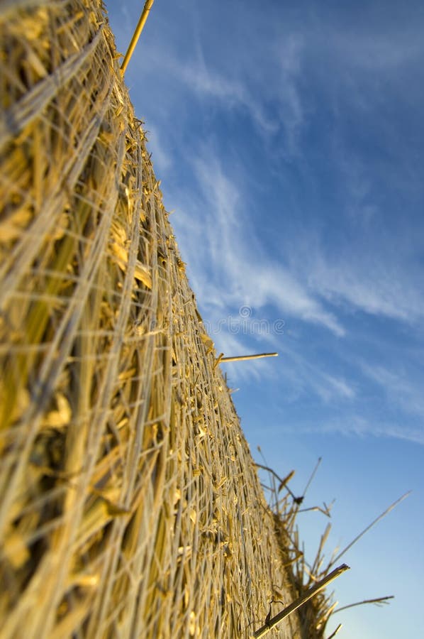 Hay ball from worms view stock photo. Image of extrem - 10598118