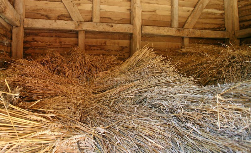 Hay Barn stock photo. Image of nourishing, wholesome - 26589524
