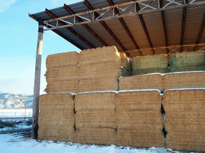 Hay Barn in Winter stock photo. Image of crop, farm - 139582208