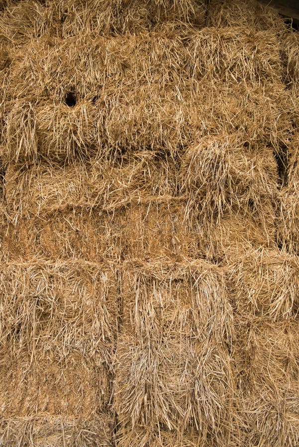 Hay blocks background stock image. Image of fodder, pile - 93254021