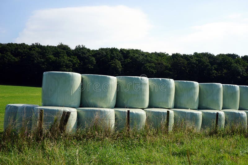 Hay bricks under cover stock photo. Image of summer, luxembourg - 77174720