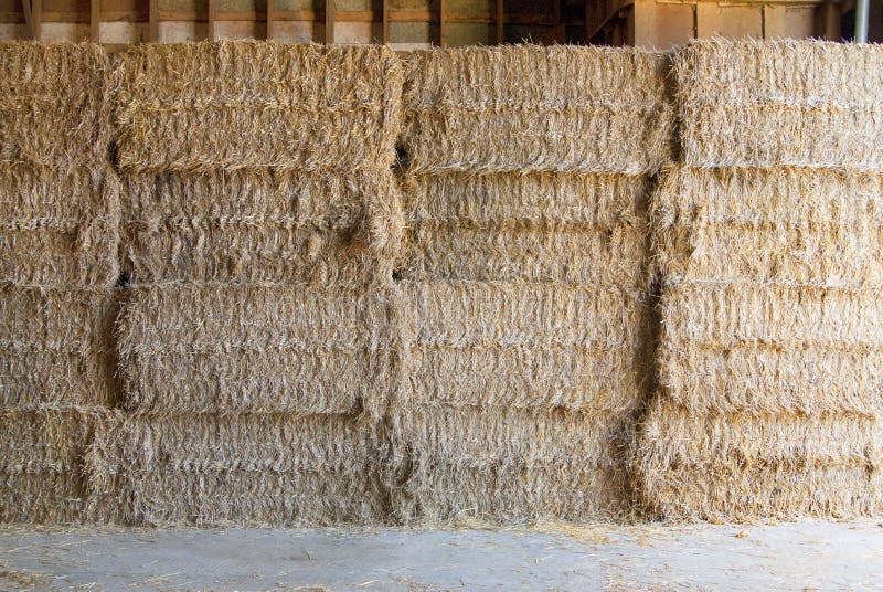 Hay bundle stock image. Image of block, pile, texture - 22078279