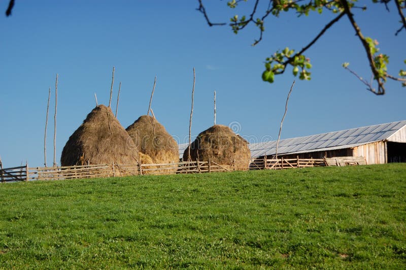 Hay bundle stock photo. Image of green, farm, barley, paddock - 2294136