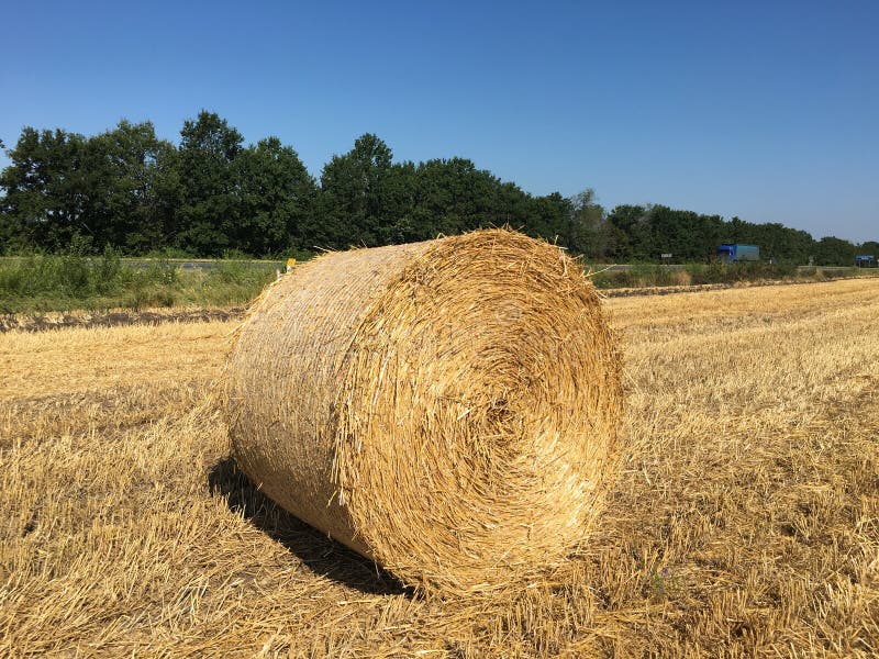 Bundle of Hay stock image. Image of pattern, textured - 3010769