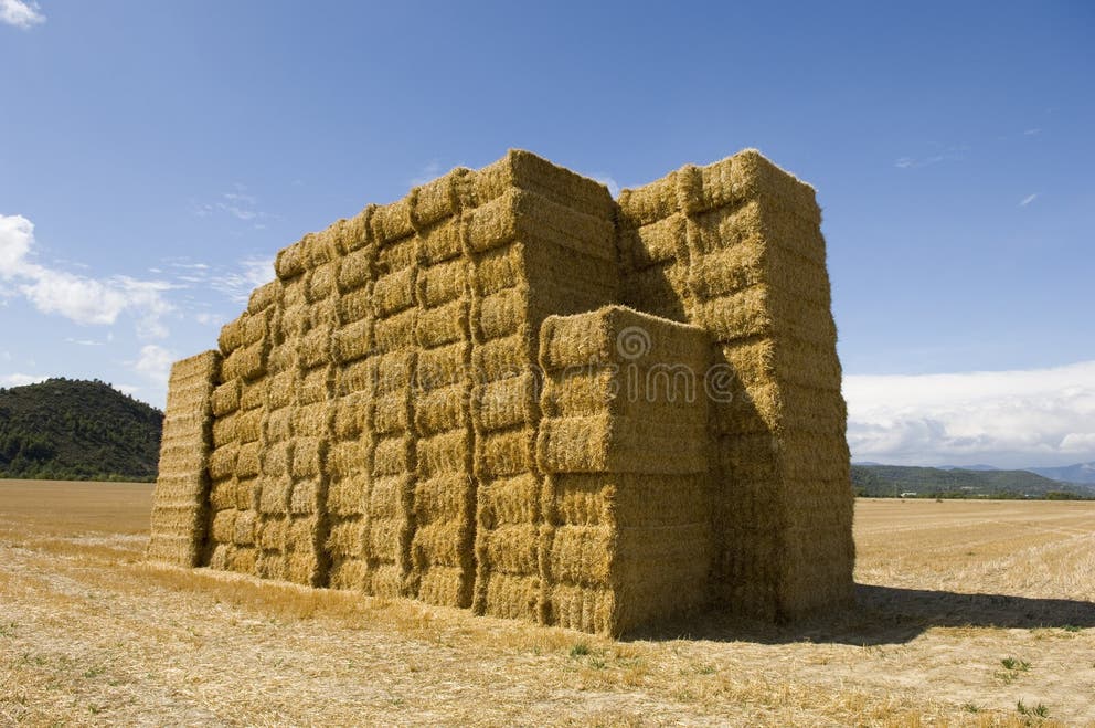 Hay bundles stock photo. Image of bloc, agriculture, dried - 2522570
