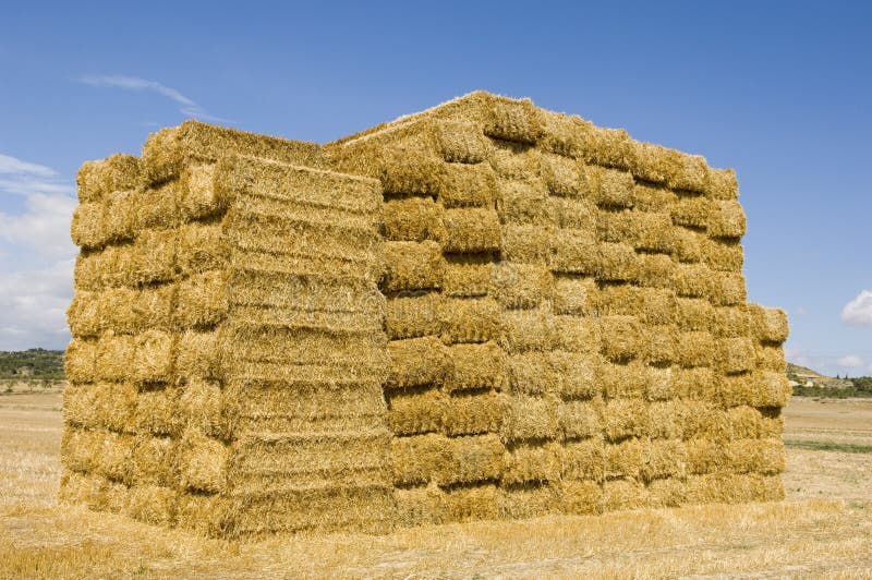 Hay bundles stock photo. Image of blue, farming, desert - 2522736