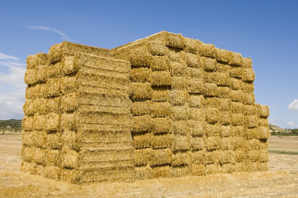 Hay bundles stock photo. Image of blue, farming, desert - 2522736