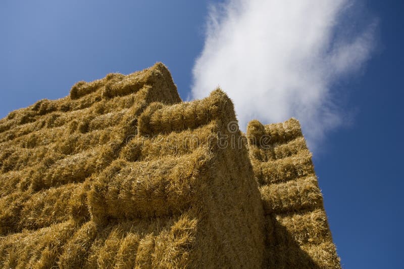 Hay bundles stock image. Image of crop, stacked, deserted - 2522835