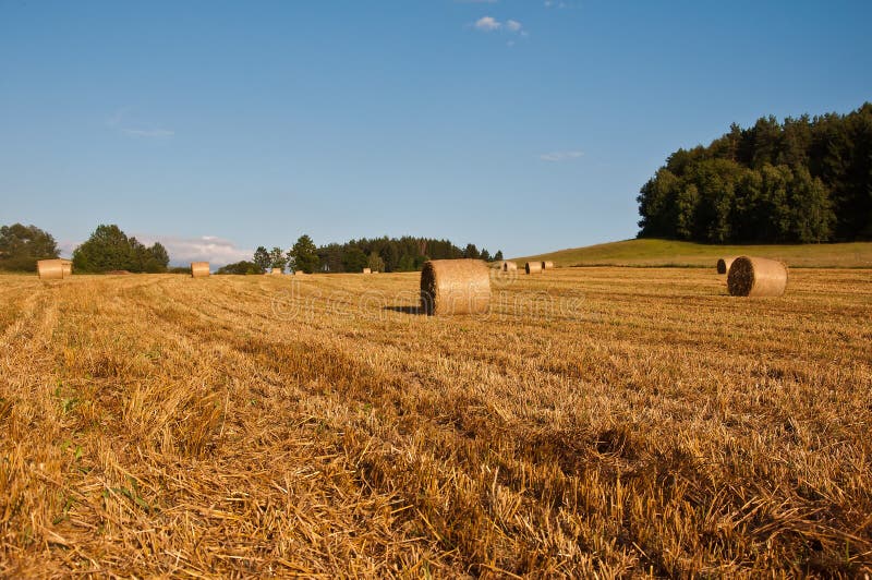 Hay bundles stock photo. Image of feed, meadow, colour - 26119862