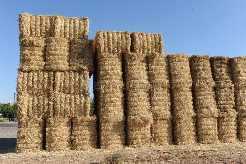 Hay Bundles Stacked Up in the Middle of a Hay Field Stock Photo - Image ...