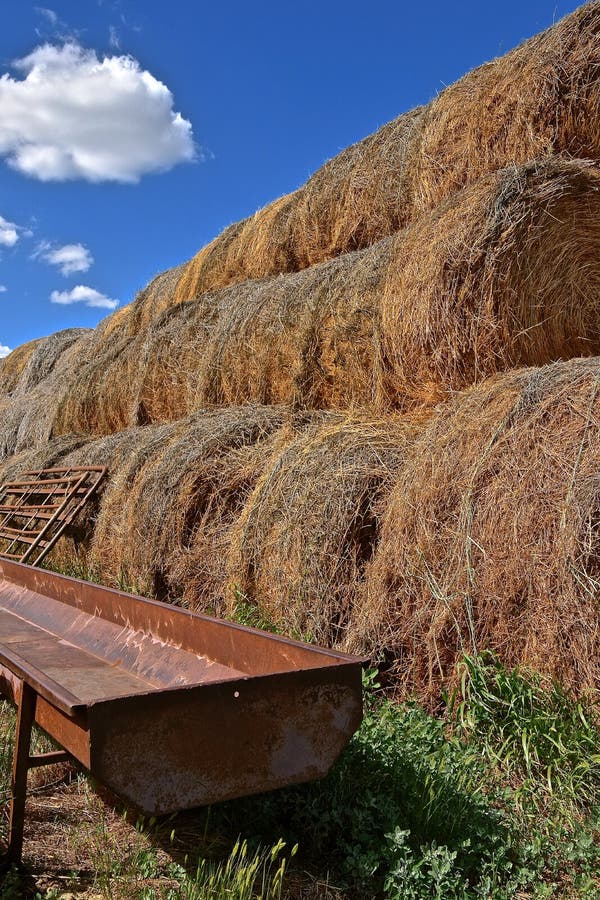 Hay Bunk Feeder and a Stack of Bales Stock Image - Image of farm ...
