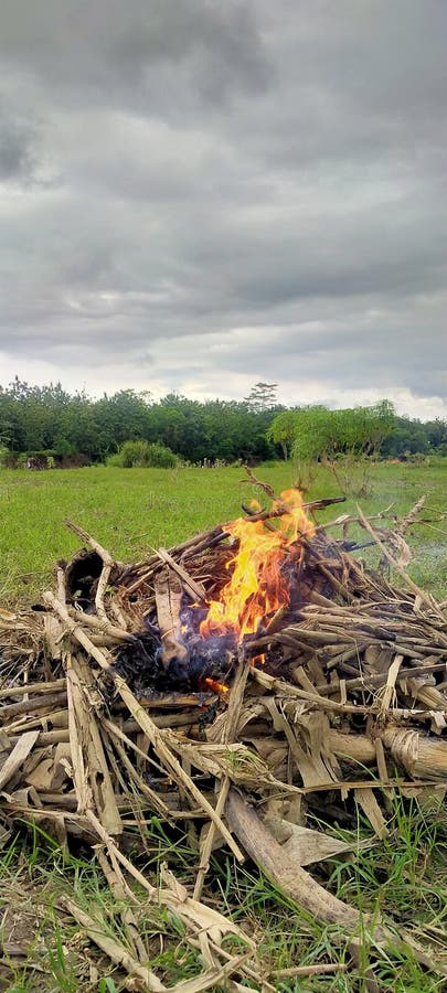 Hay burning in the garden stock image. Image of soil - 262817999