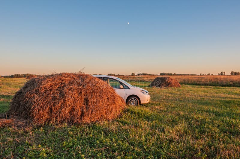 Car Hay Field Rural Landscape Stock Photo - Image of evening, grass ...