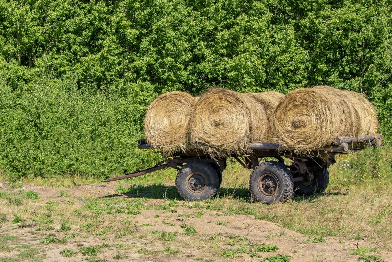 Hay cart. stock photo. Image of agriculture, wheels - 215391990