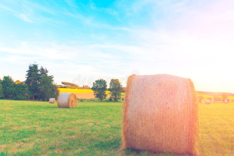 Hay circles stock image. Image of natural, circle, landscape - 101716471