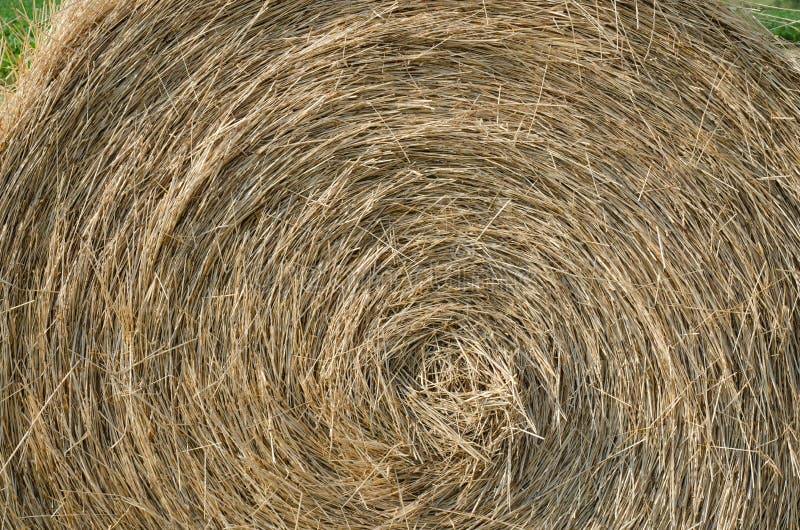 Hay stock image. Image of close, harvested, fodder, circle - 60284183