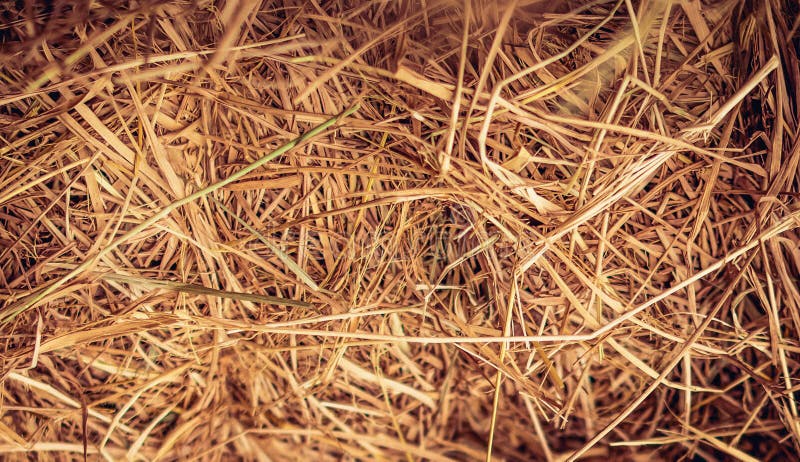 Hay Close Up Bale Background Wallpaper Macro Stack Beige Tangled Straw ...