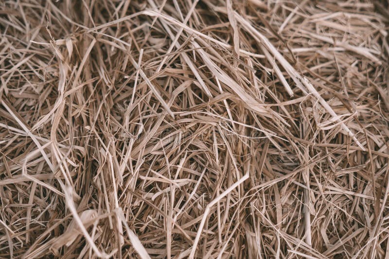 Hay Close Up Bale Background Wallpaper Macro Stack Beige Tangled Straw ...