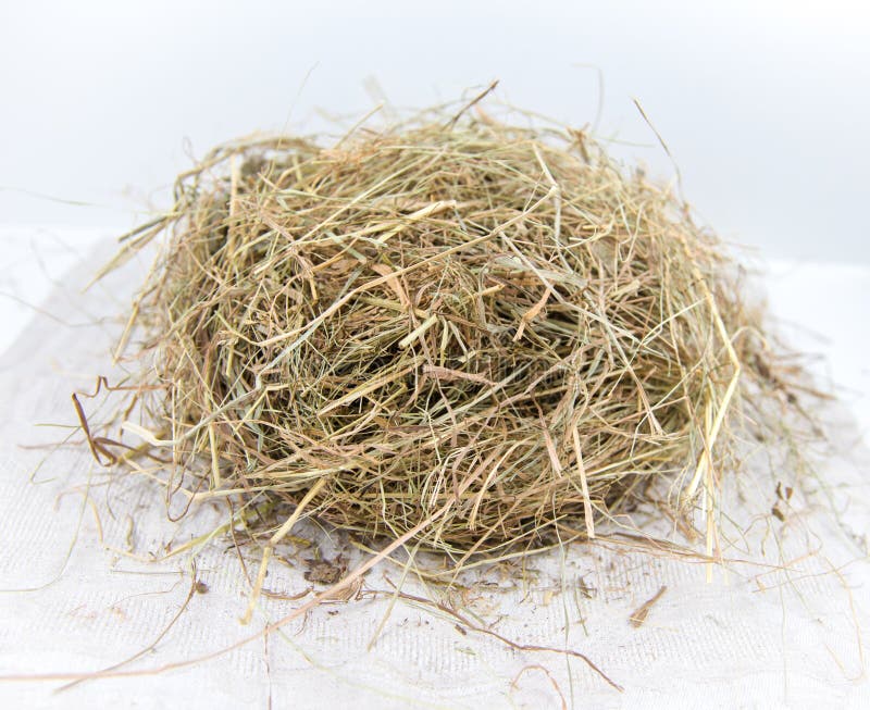 Hay stock image. Image of basket, straw, summer, environment - 67982835