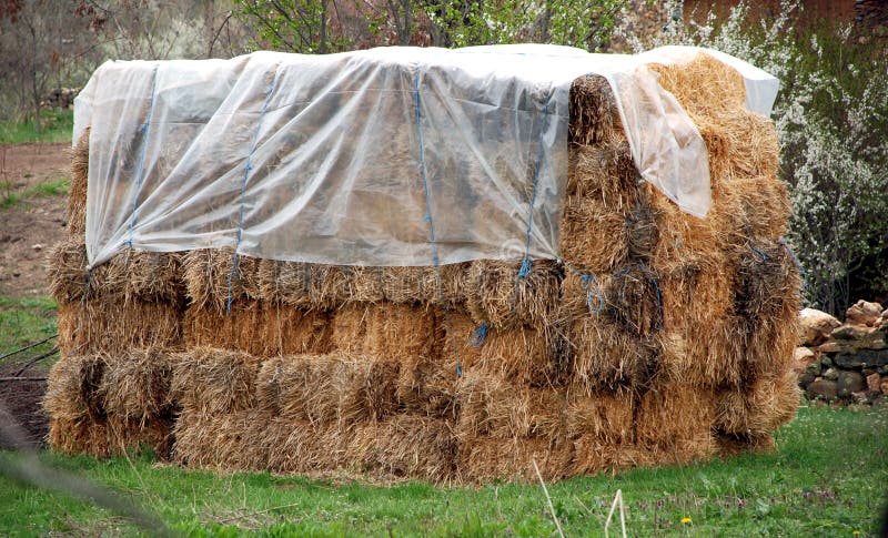 Hay Collected in the Meadow Stock Image - Image of collected, blue ...