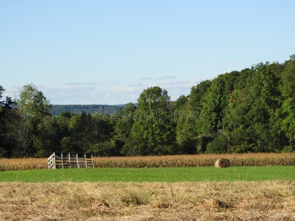 Hay and Corn Field with Empty Hay Wagon and Round Haybale Stock Image ...