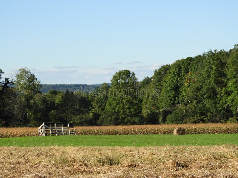 Hay and Corn Field with Empty Hay Wagon and Round Haybale Stock Image ...