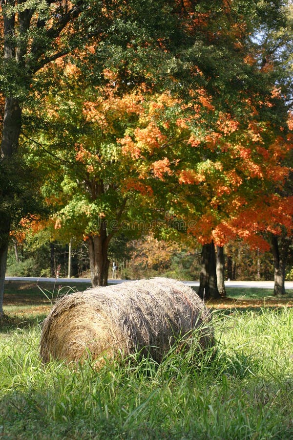 A Single Hay Bale stock photo. Image of summer, storage - 75177138