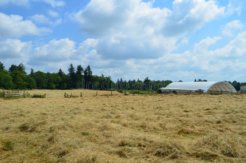 Hay field stock image. Image of farm, bailer, aldergrove - 20747487