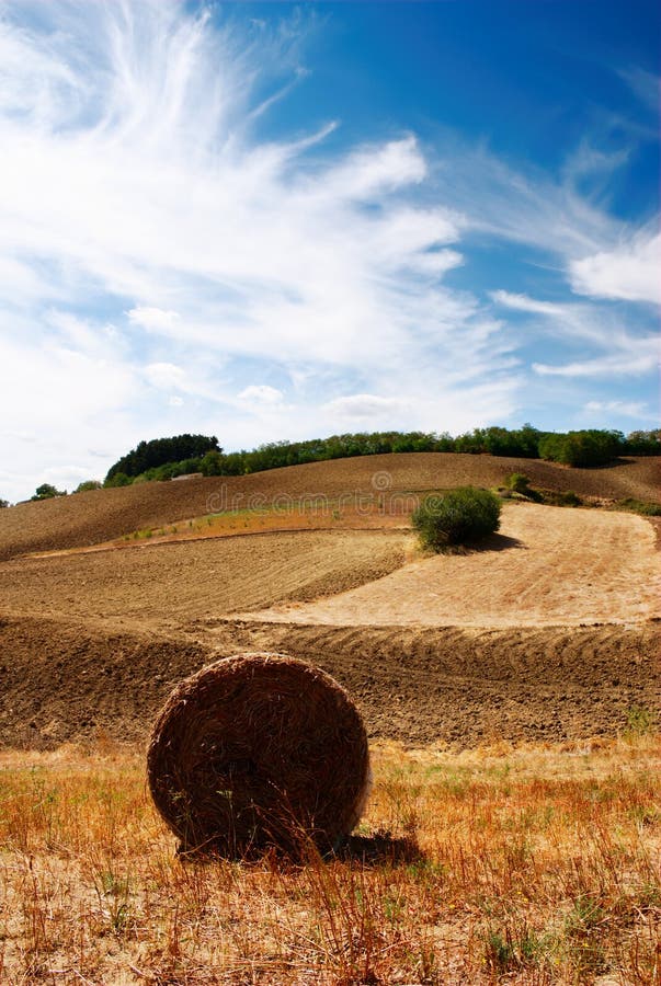 Hay field stock image. Image of grain, nature, mediterranean - 5057209