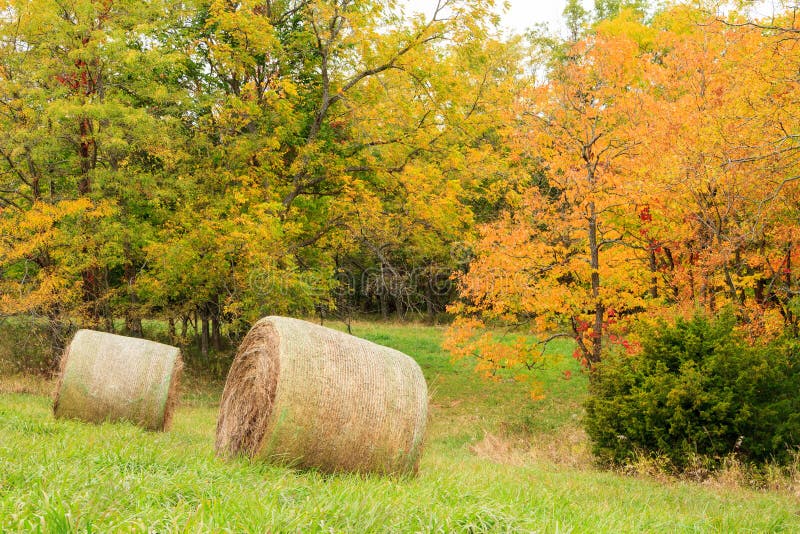 Hay Field during the Fall stock image. Image of landscape - 65986831