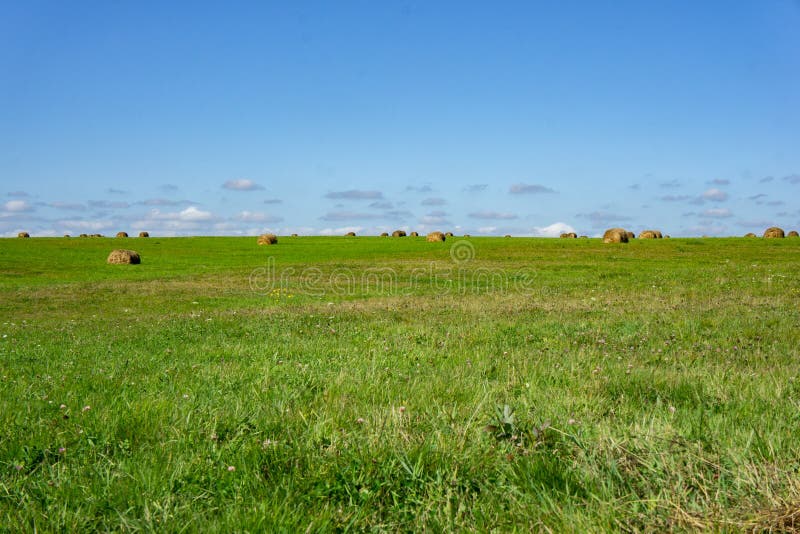 Hay Field with Large Round Bales. Environmentally Friendly Production ...