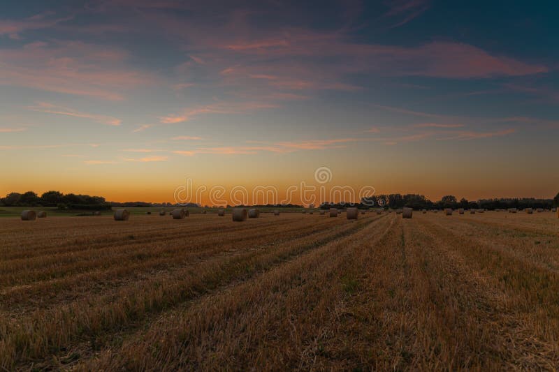 A hay field stock photo. Image of field, agriculture - 340634598