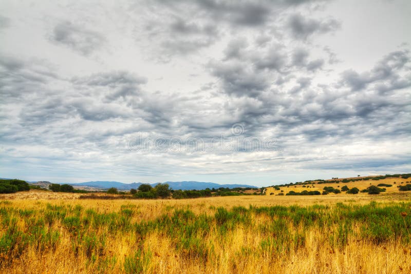 Hay Field Under an Overcast Sky Stock Photo - Image of grow, grass ...