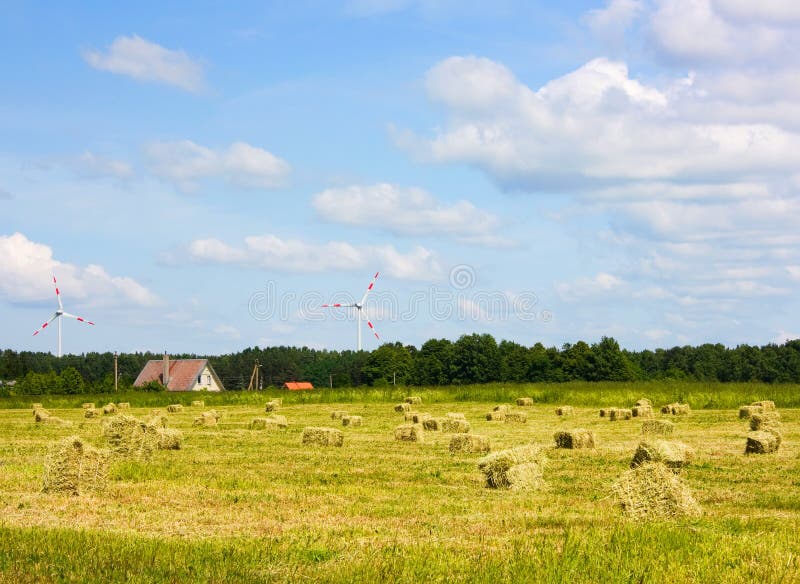 Hay field, wind generators stock photo. Image of industry - 12475418