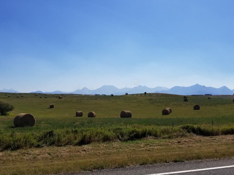 Hay fields stock photo. Image of rockies, fresh, canada - 99418030