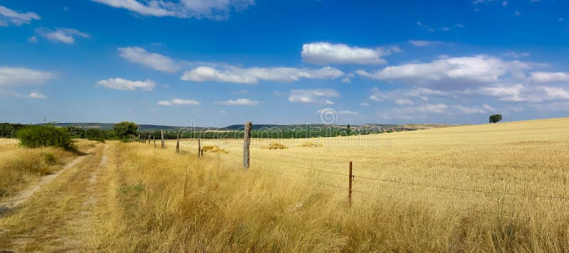 Hay Fields after Harvesting in the Centre of Castilla in Spain Stock ...