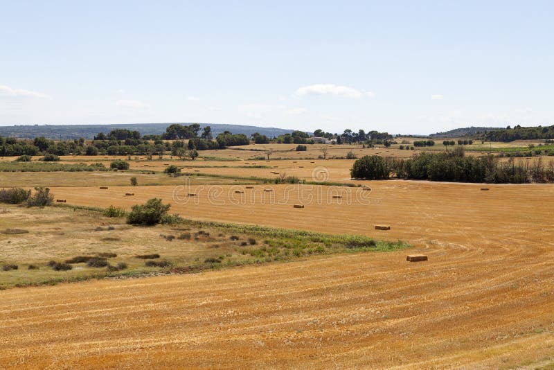 Hay fields stock photo. Image of agriculture, landscape - 35700220