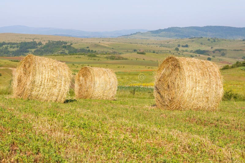 Hay fields in Transilvania stock photo. Image of outdoor - 89114372