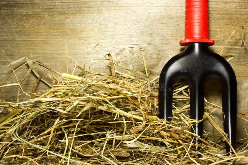 Hay with garden tools stock photo. Image of object, gardening - 71227634