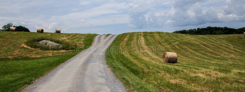 Hay and Grass in the Country Field Stock Photo - Image of piece ...