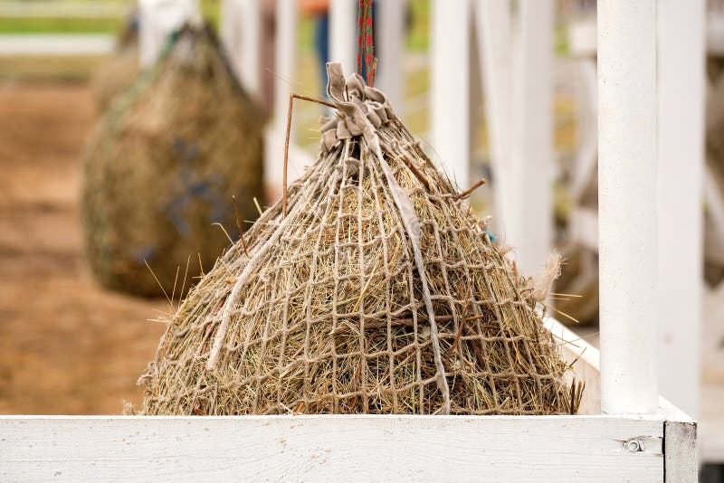 Hay and Grass in a Horse Net in the Stable Stock Image - Image of ...