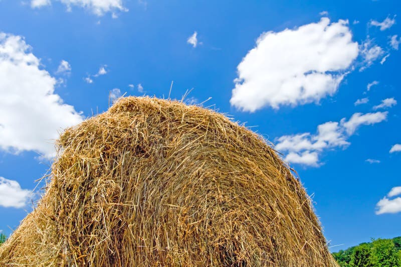 Hay harvest stock photo. Image of bale, field, harvest - 25546326