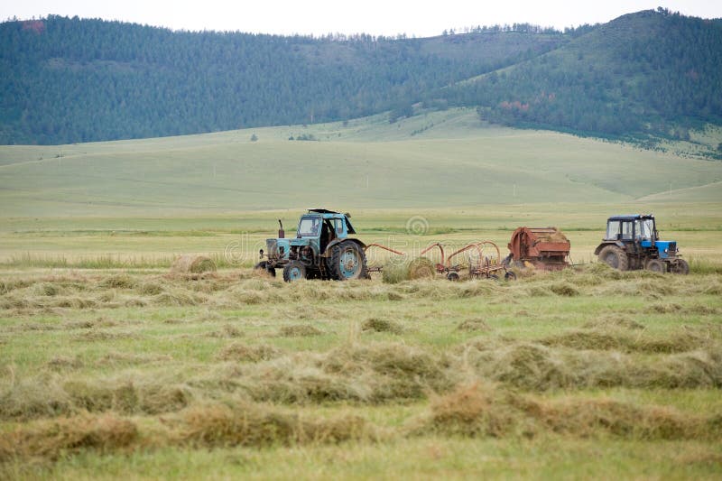 Hay harvesting stock photo. Image of fodder, operation - 13057932