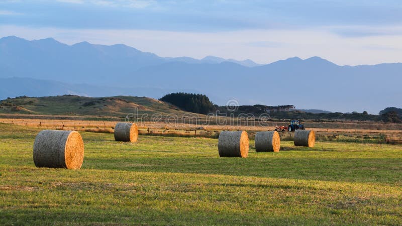 Hay Harvesting stock image. Image of farm, manufactured - 28853875
