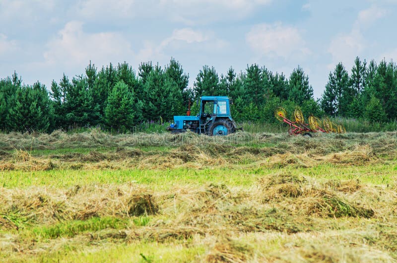 Hay Harvesting with the Help of Special Equipment Stock Image - Image ...