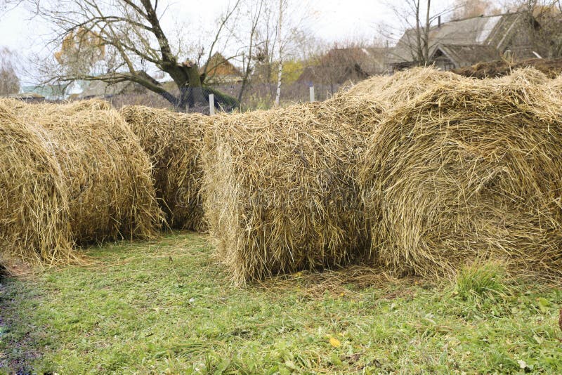 A Haystack on a Stretch in the Old Village Stock Image - Image of ...