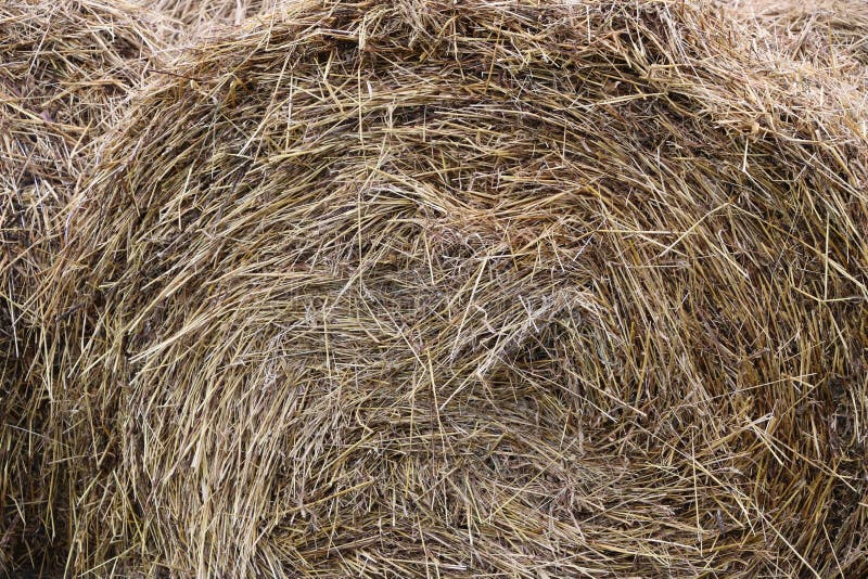 A Haystack on a Stretch in the Old Village Stock Image - Image of ...